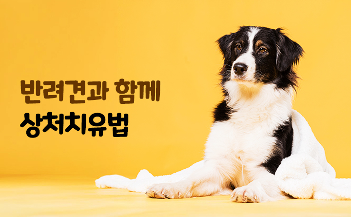 경기도 평생학습 포털 지식-GSEEK